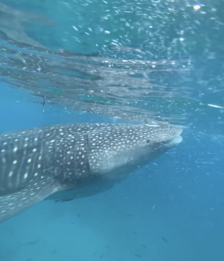 憧れのCRCへ｜CRC日記｜株式会社EPLink