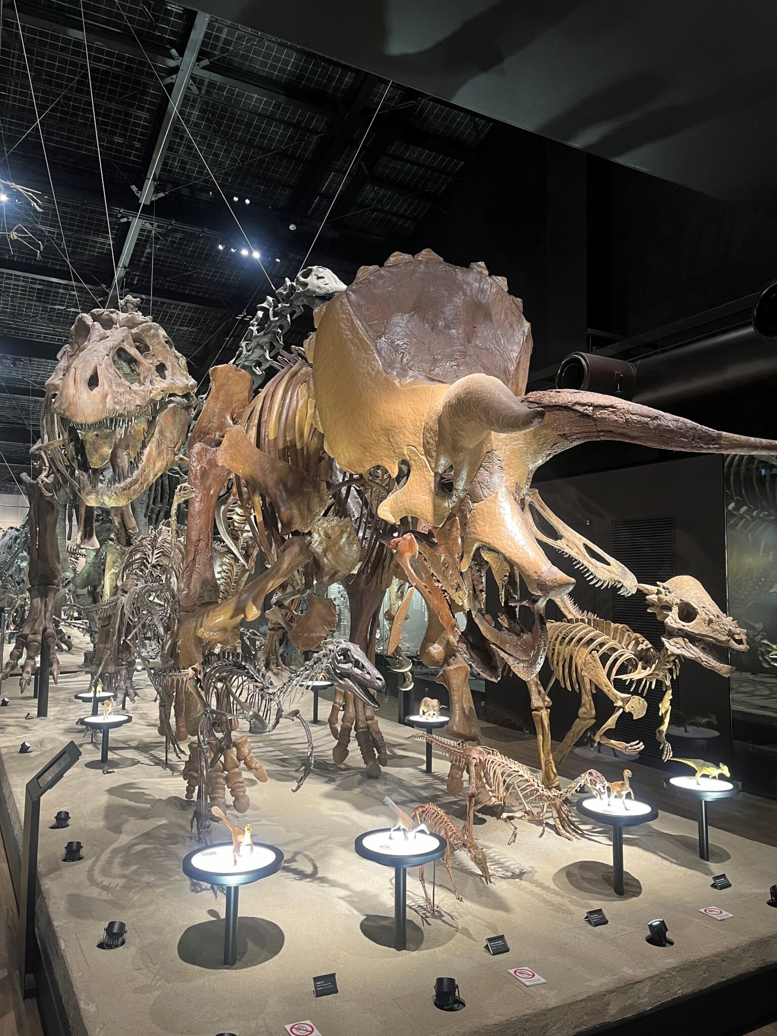 葛藤と前進の日々｜CRC日記｜株式会社EPLink