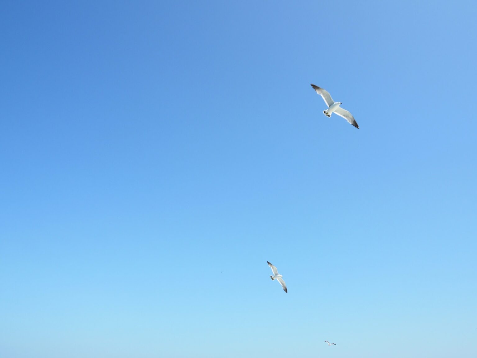 CRC2年目の目標は“息抜き上手“｜CRC日記｜株式会社EPLink